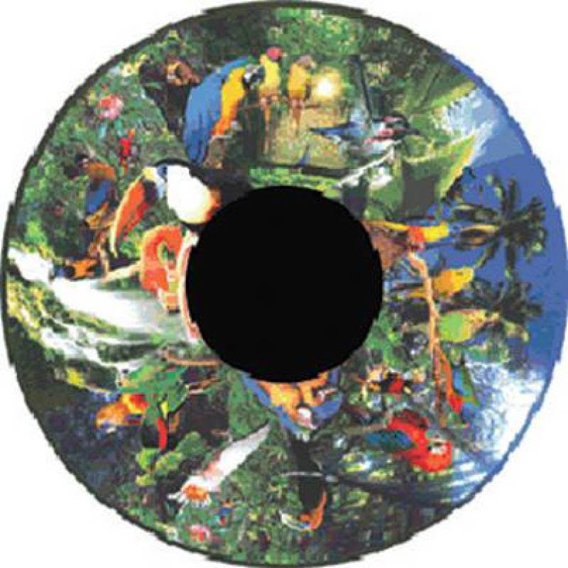 Projector Effects Wheel (Tropical Birds) | SensoryStore.com